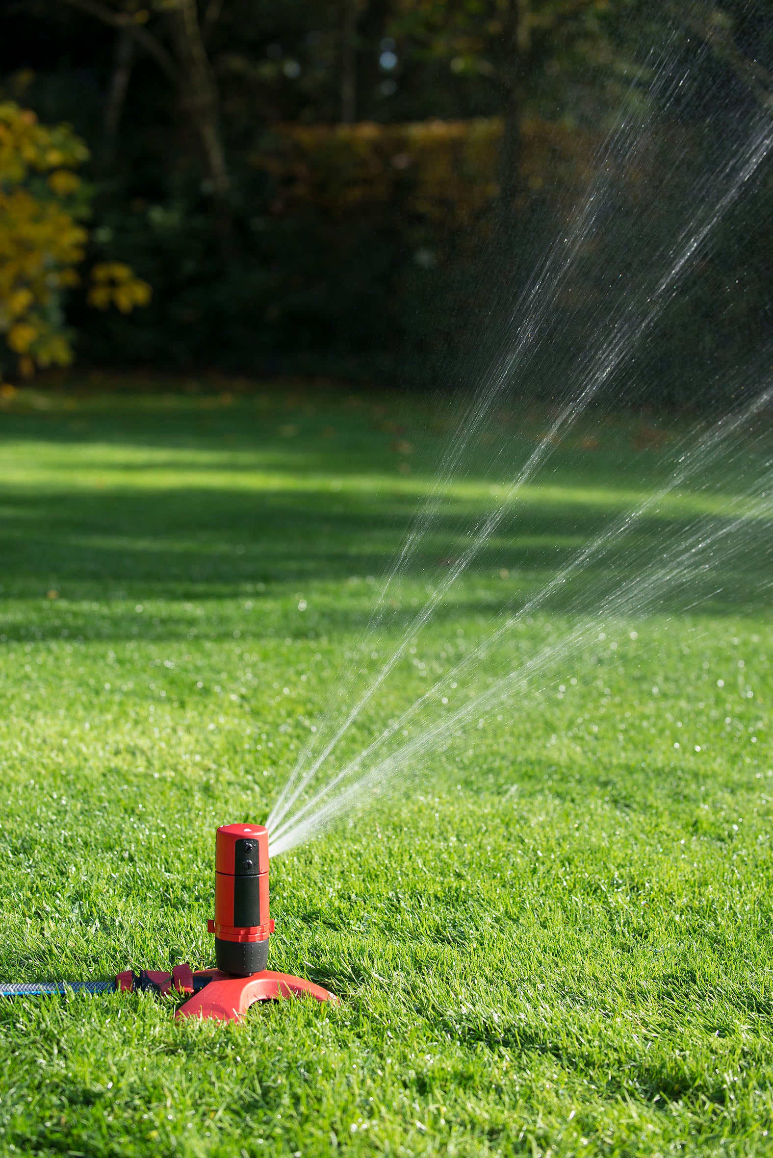 Kreator Base Sprinkler | Irrigation System | Irrigation System Prices ...